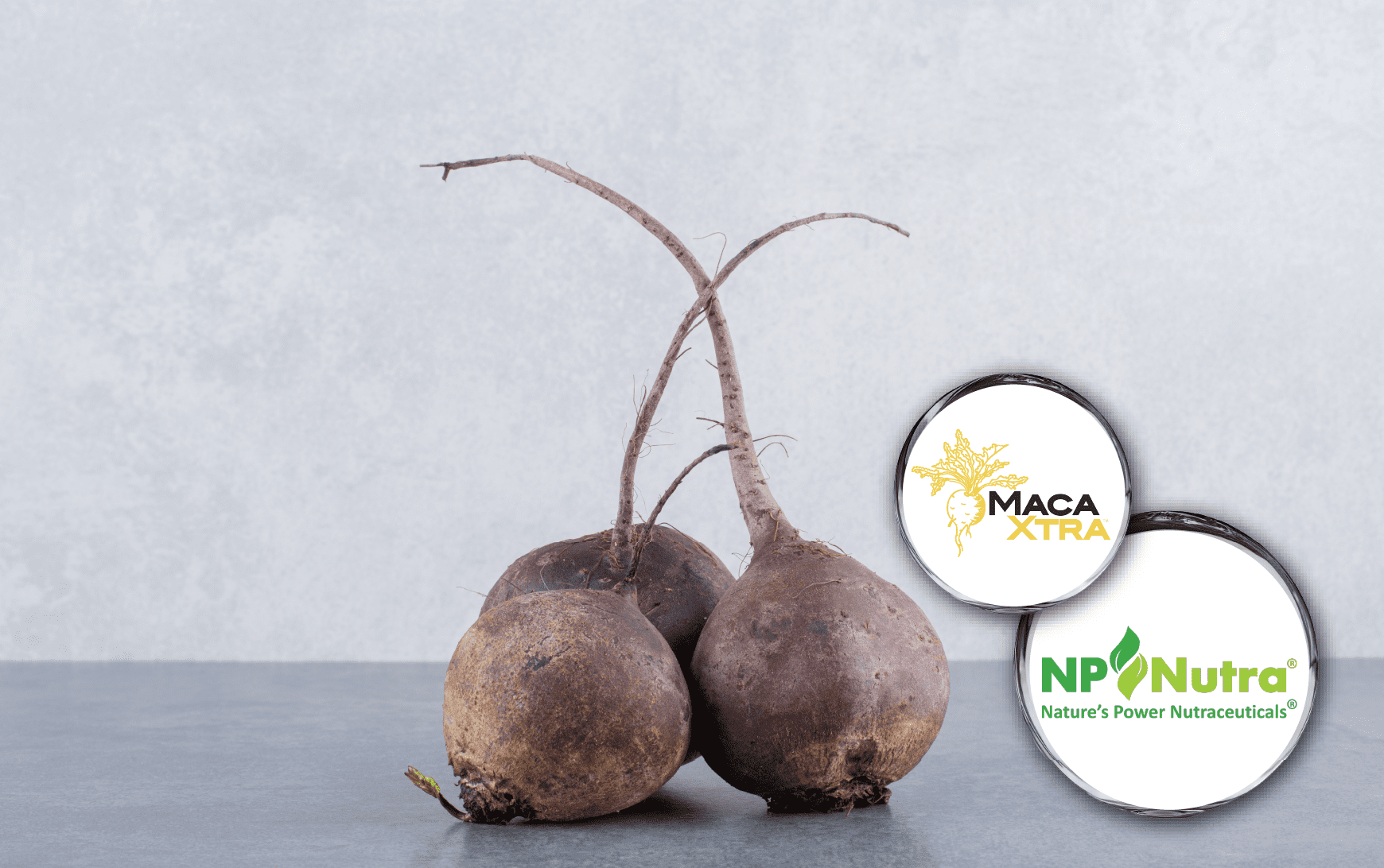 NP Nutra｜MACAXTRA 馬卡萃取｜能量補給與熟齡呵護