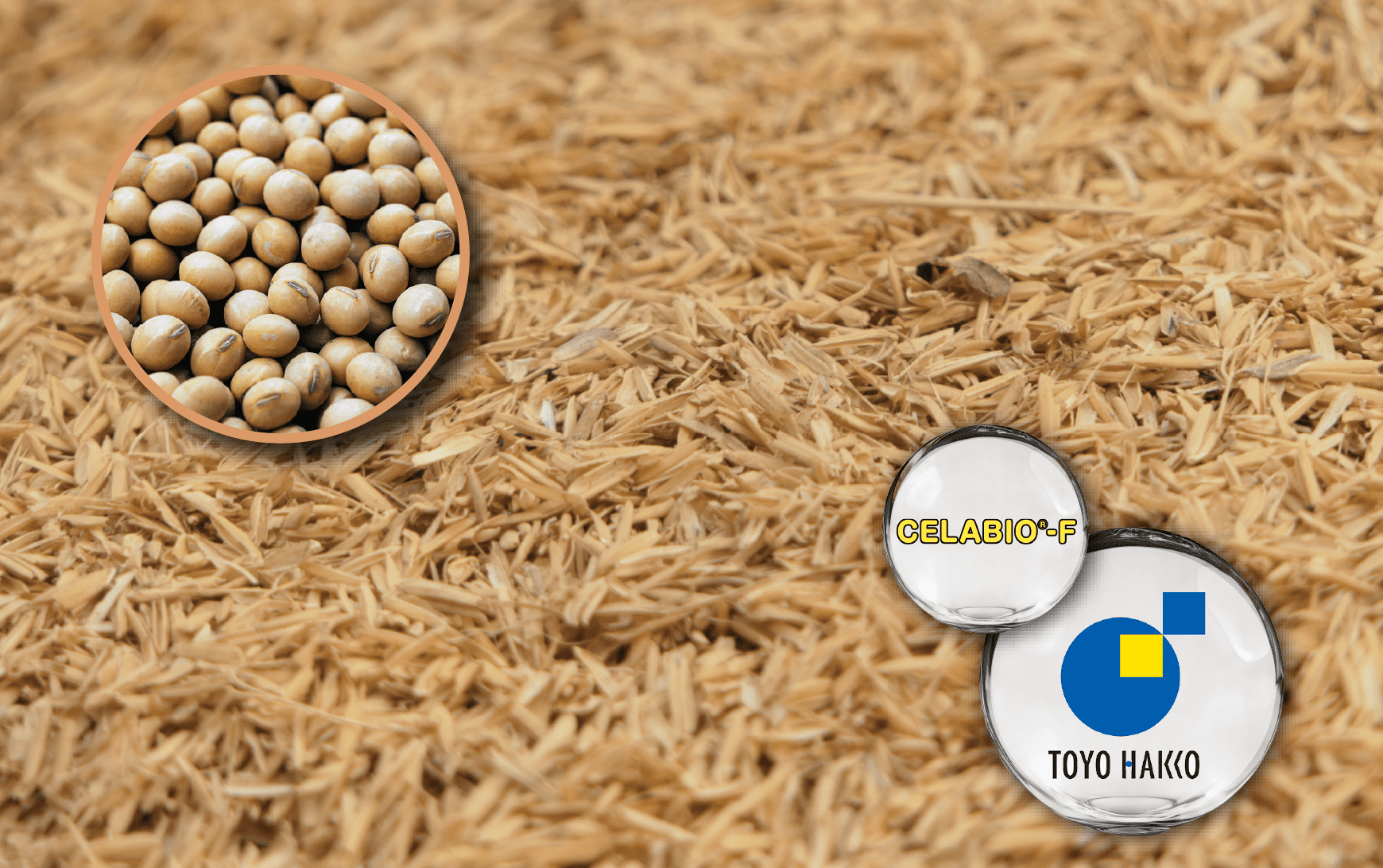 Toyo Hakko | CELABIO® Rice Bran Soybean | Patented Fermentation